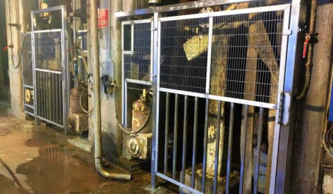 Pulp & Paper - Procter Machine Safety